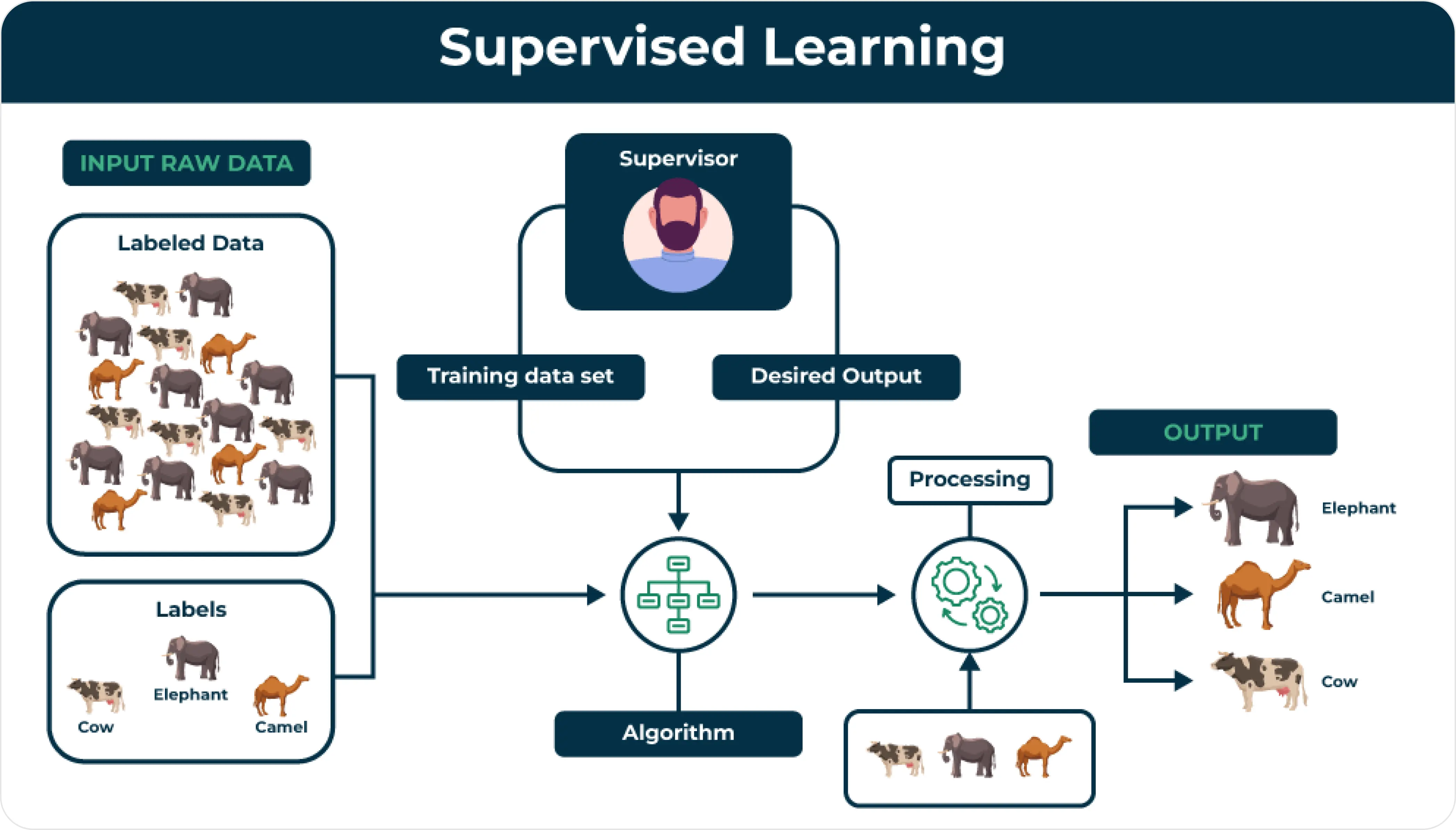 Text Classification With Llms Approaches And Evaluation Techniques For
